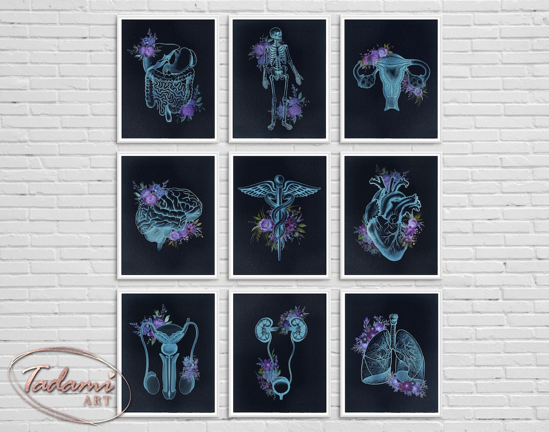Anatomy Wall Art, X-ray Medical Poster, Family Doctor Gift, Clinic ...