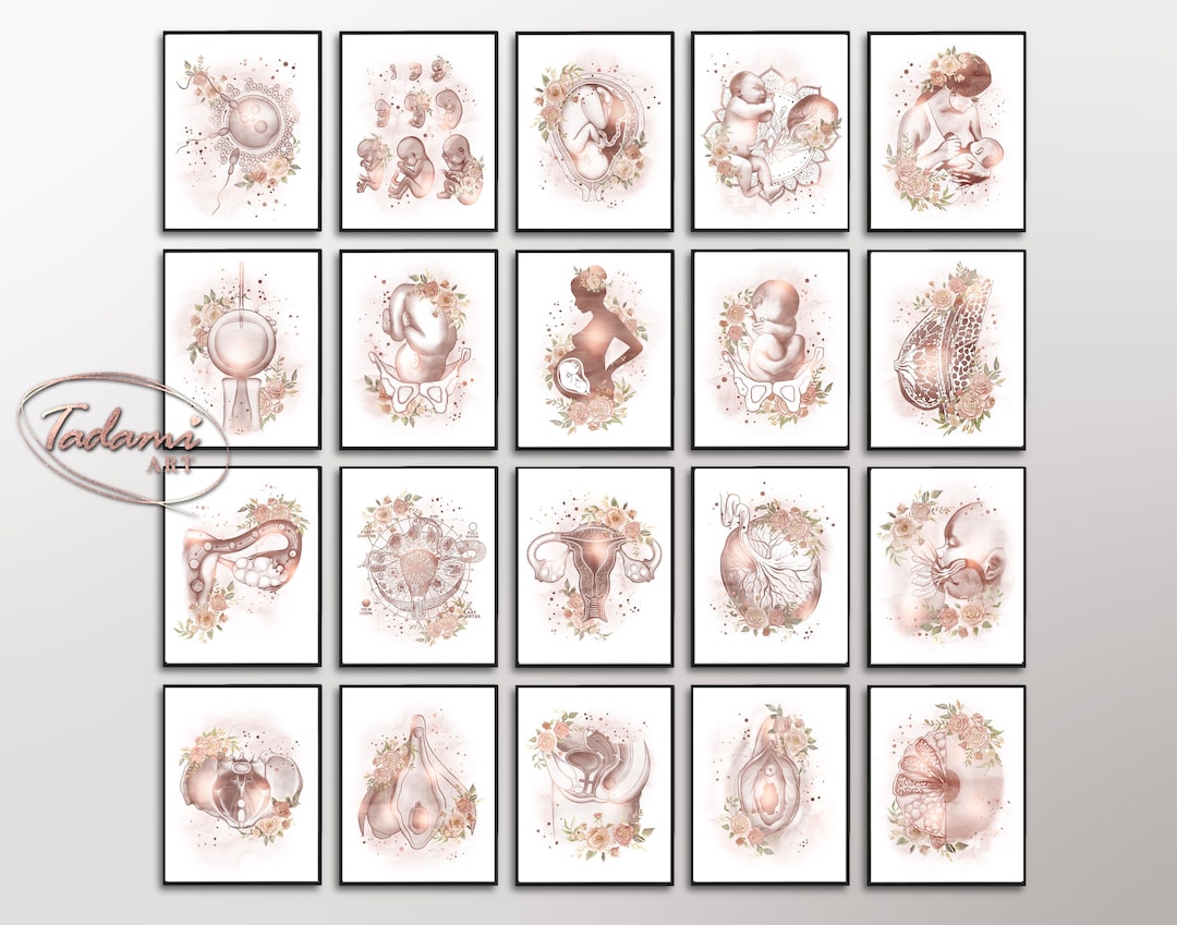 Gynecology Wall Art Female Anatomy Art Women Health Poster Obgyn