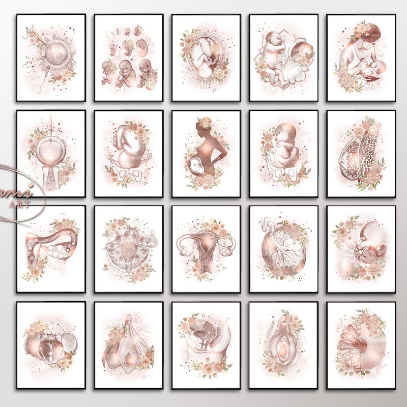 Female Anatomy - Etsy