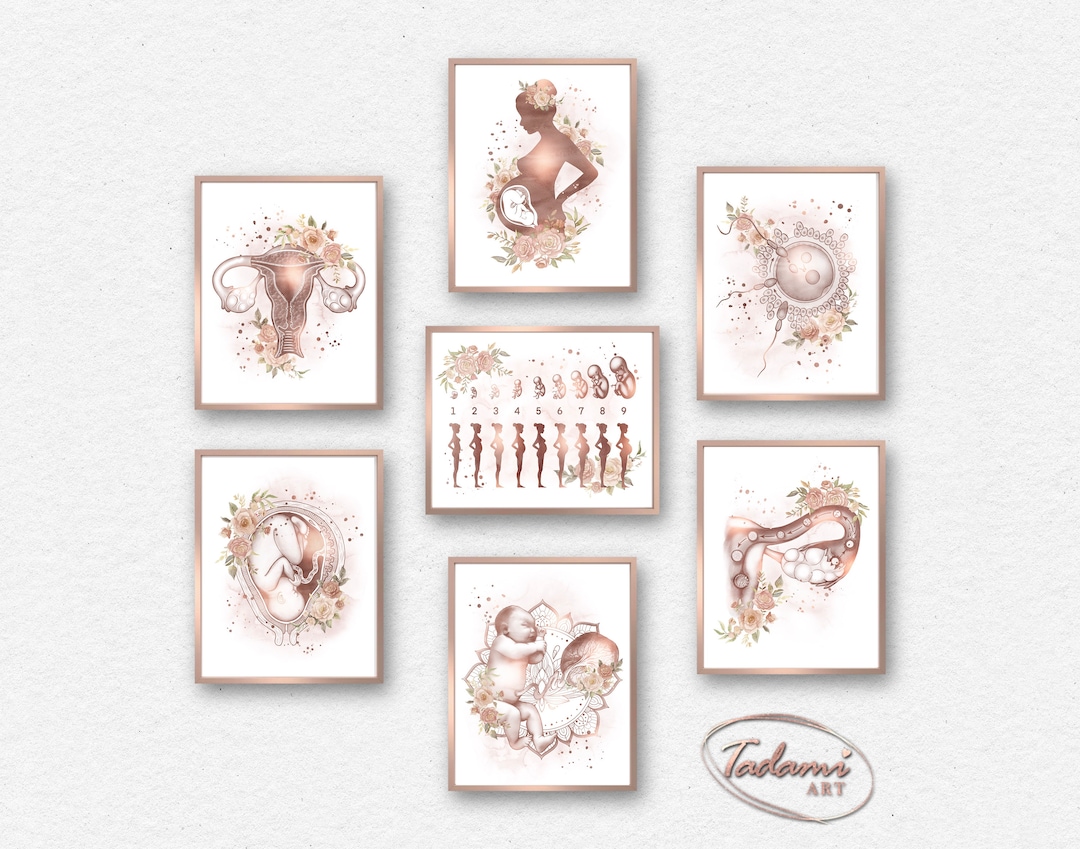 OBGYN Wall Art, Pregnant Anatomy Art, Gynecology Poster, Gynecologist Gift, Midwife Gift ...