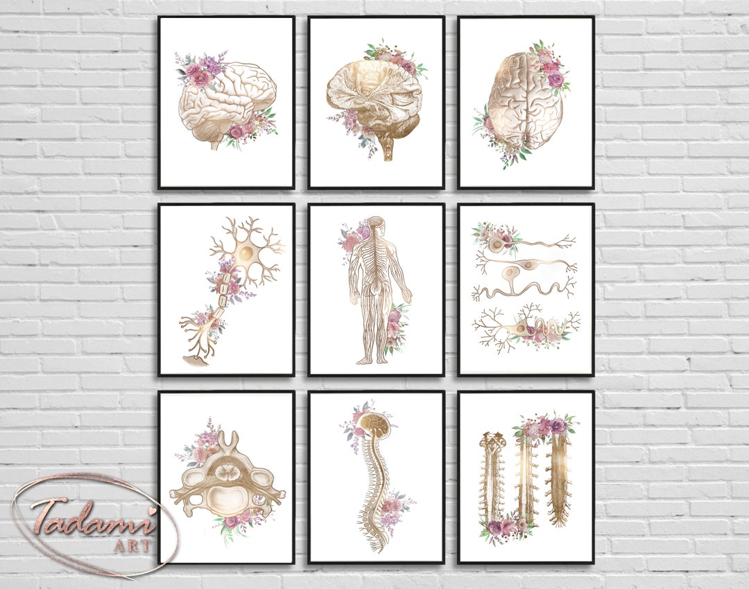 Neurologist Print, Brain Anatomy Art, Neurological Wall Art, Nervous ...