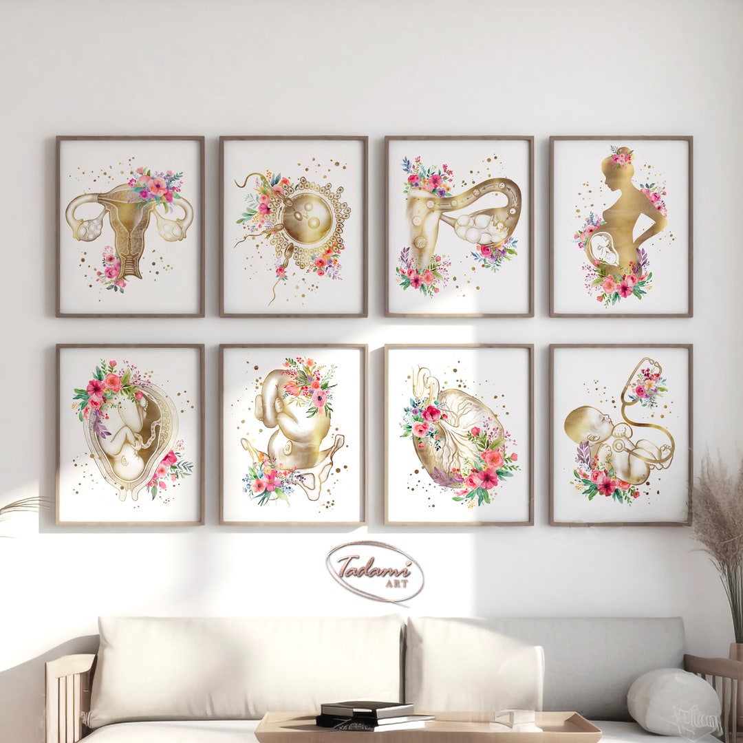 Floral Pregnancy Anatomy Print, Gynecology Wall Art (digital Download ...