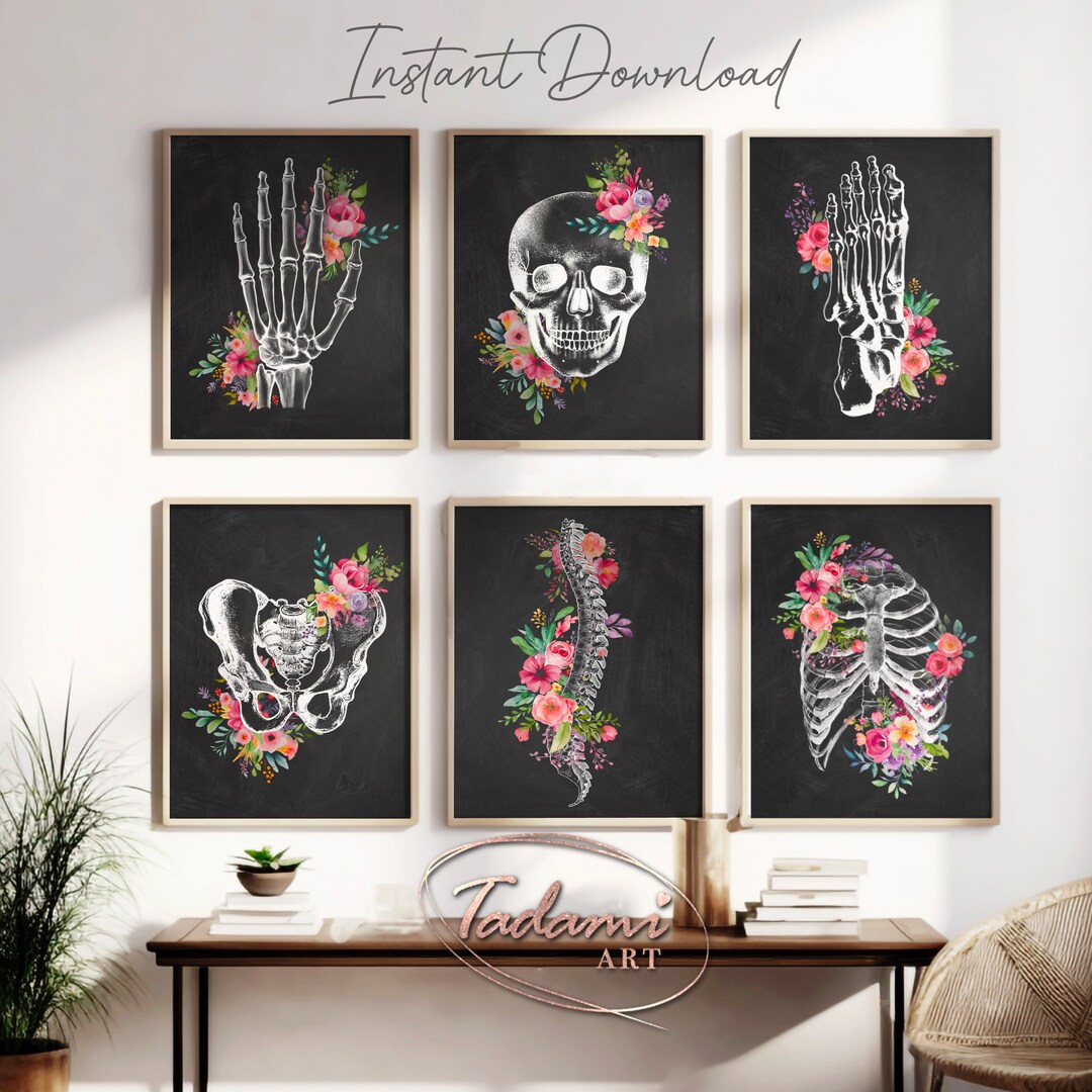 Orthopedic Art, Chiropractic Poster, Bones Anatomy Art, Skeletal System ...