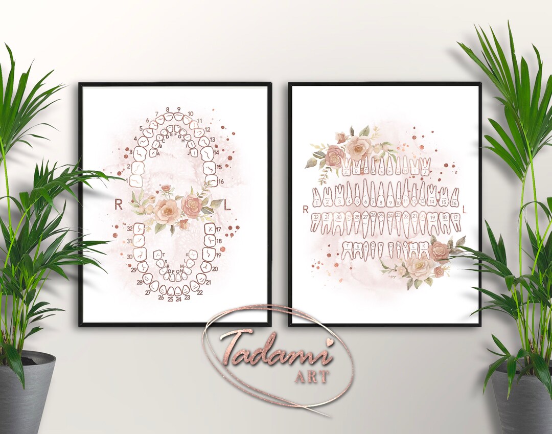 Dental Poster, Tooth Print, American Tooth Numbering System, Dental ...