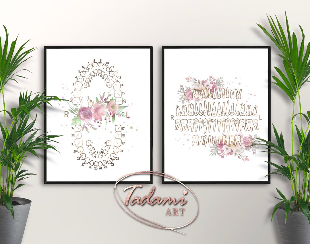 Floral Tooth Anatomy Art Print, Dentist Office Decor (digital Download ...