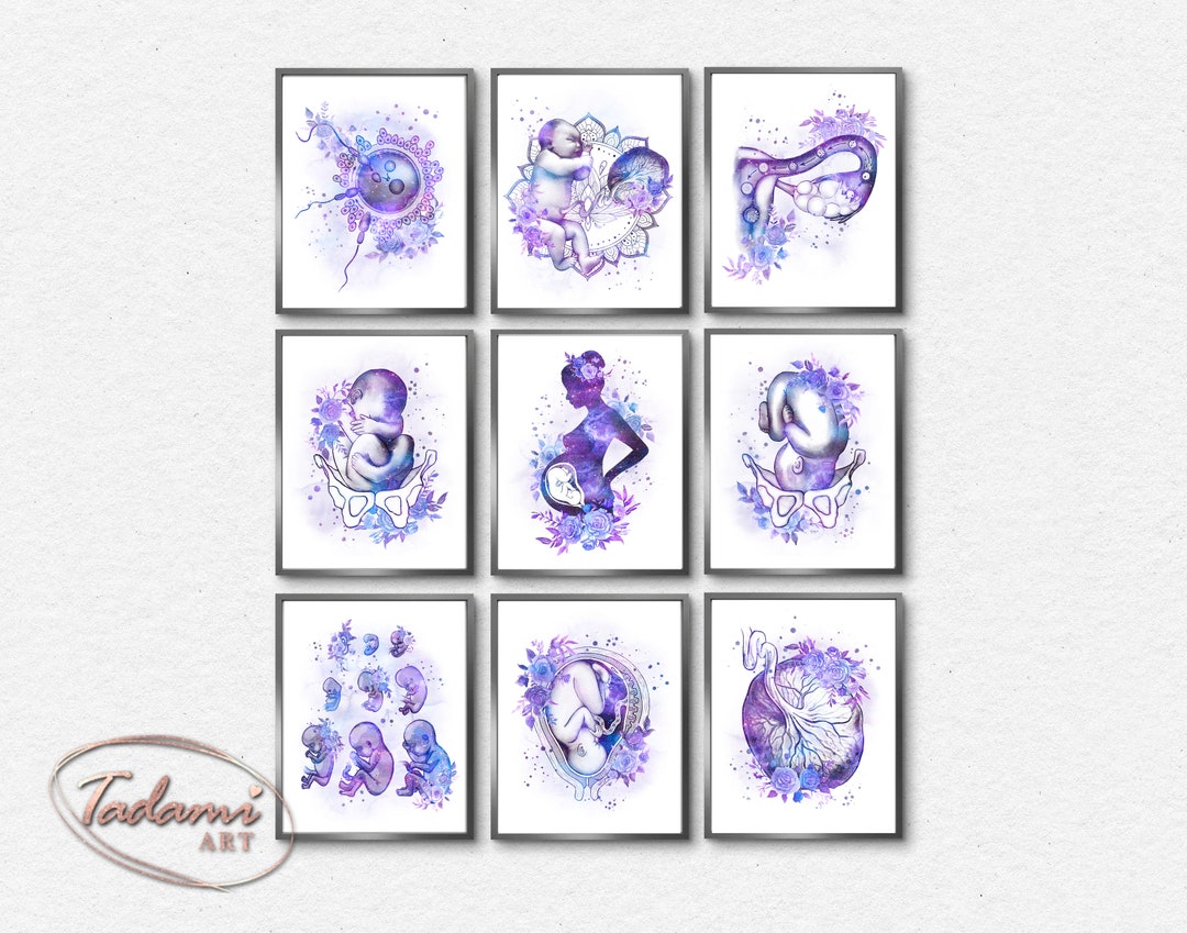 Gynecology Wall Art, Pregnancy Poster, OBGYN Print, Midwife Gift ...
