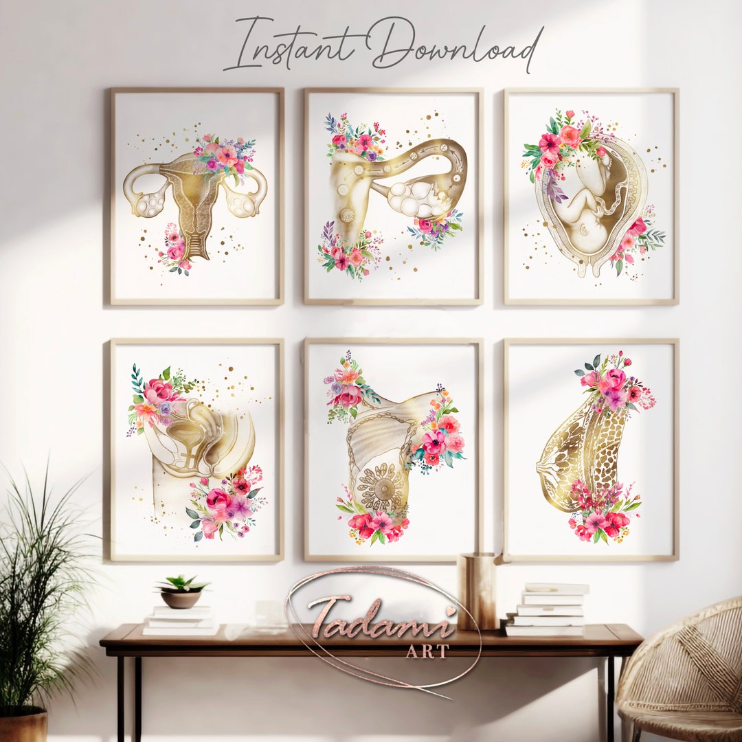 Women Anatomy Art Gynecology Poster Obgyn Wall Art Gynecologist T