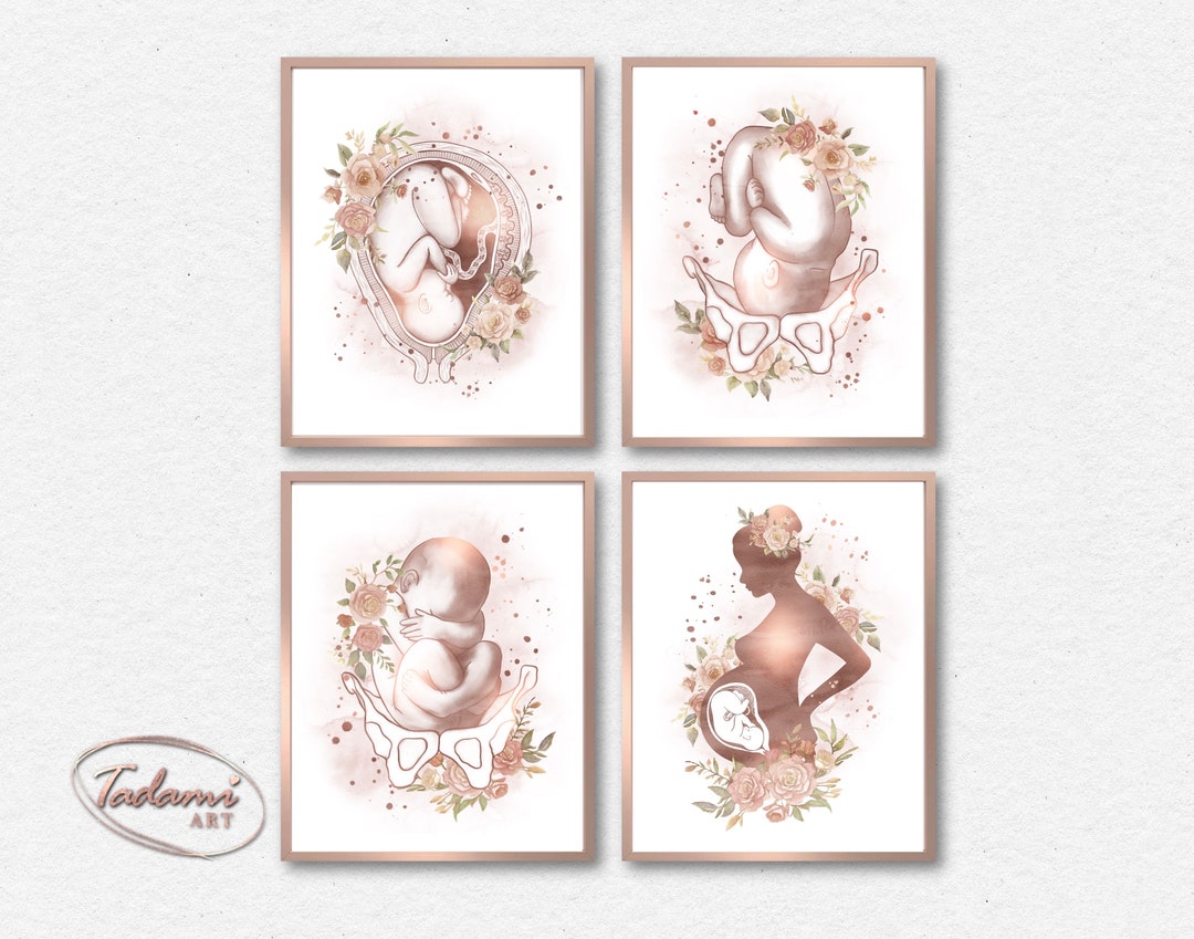 OBGYN Wall Art, Fetal Position Poster, Pregnancy Poster, Obstetrics ...