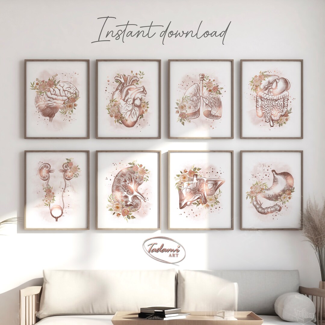 Anatomy Wall Art, Clinic Decor, 8 Medical Posters, Physician Gift ...