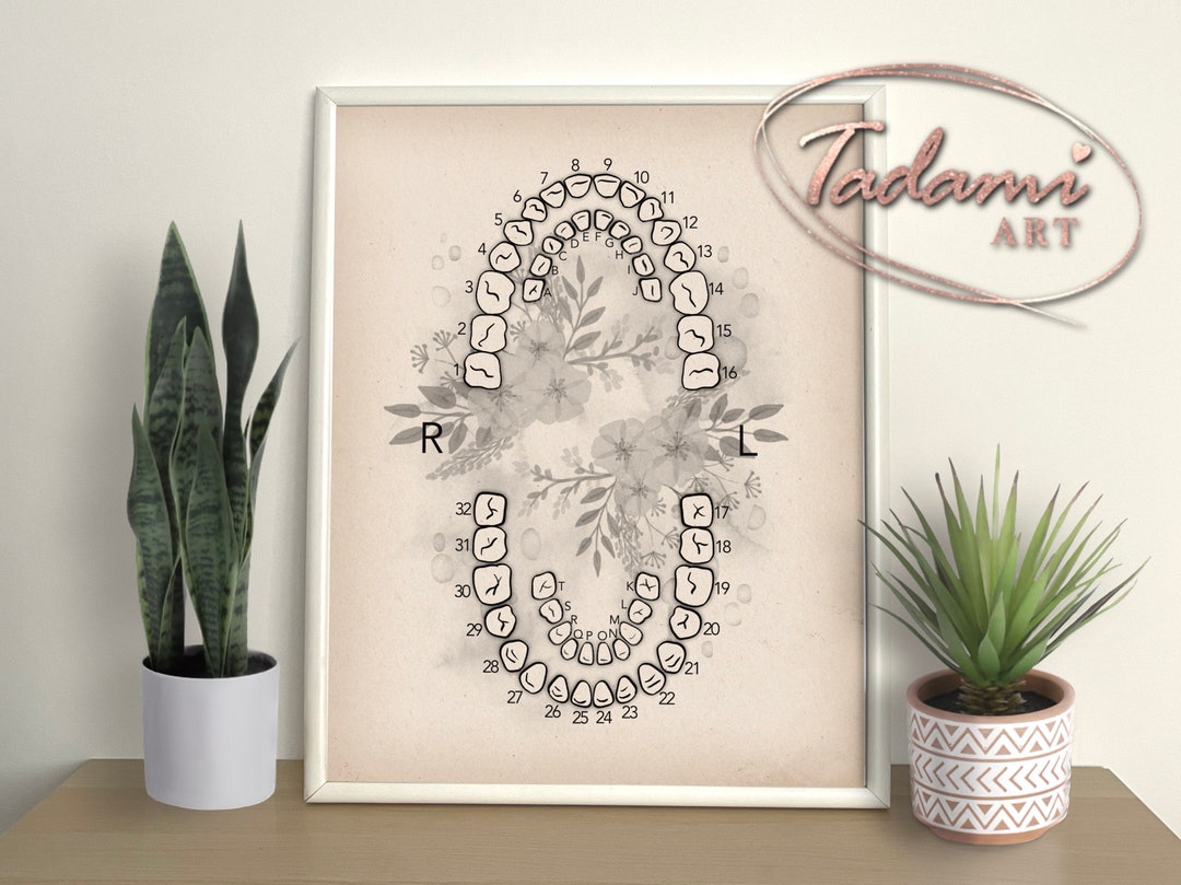 Vintage Tooth Numbering Poster Instant Download Dentition Print Tooth ...