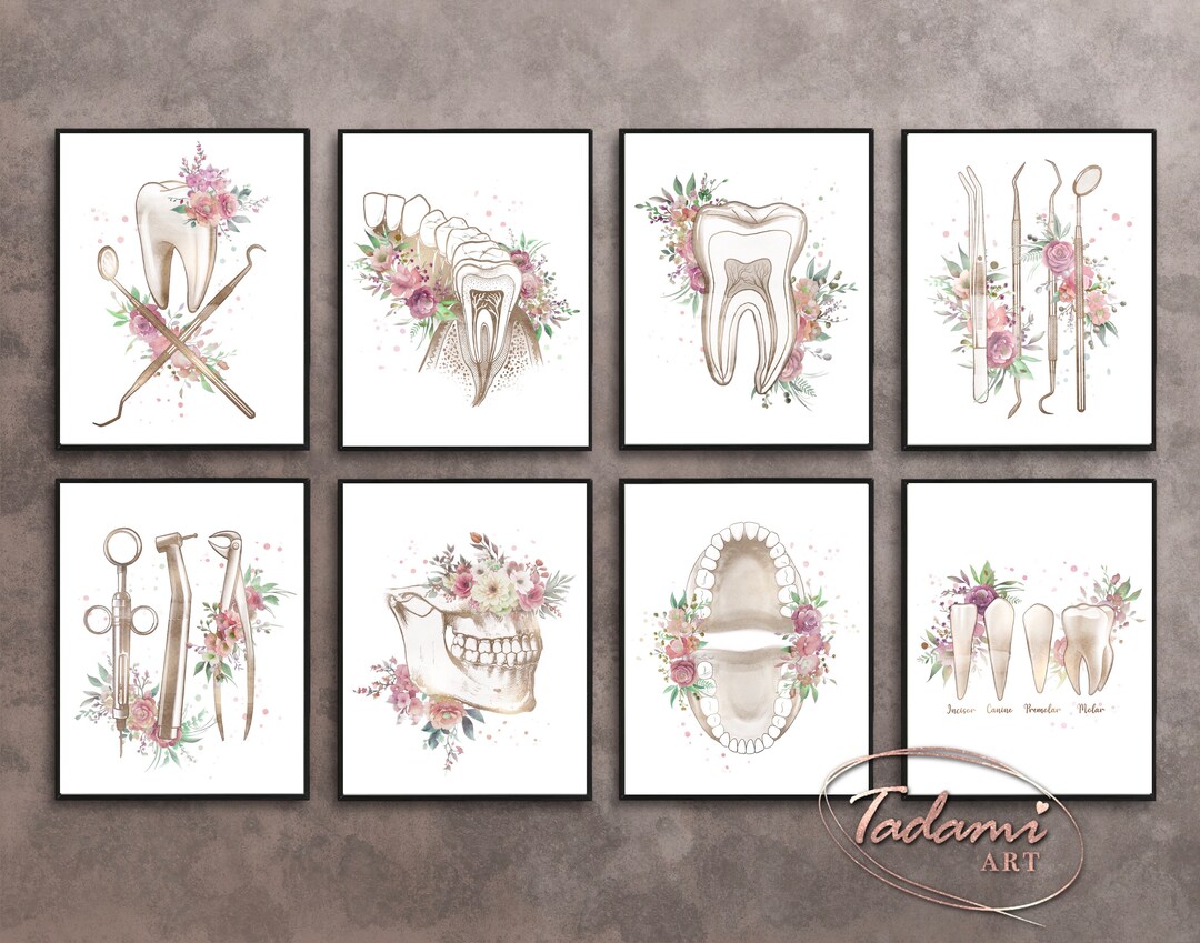 8 Dentist Poster Watercolor Dental Artwork Tooth Anatomy - Etsy