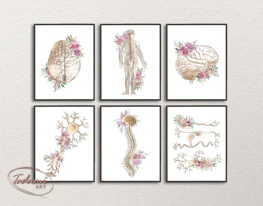 Neurology Wall Art, Nervous System Art, Brain Anatomy Print ...