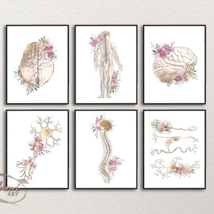 Neurology Wall Art, Nervous System Art, Brain Anatomy Print ...
