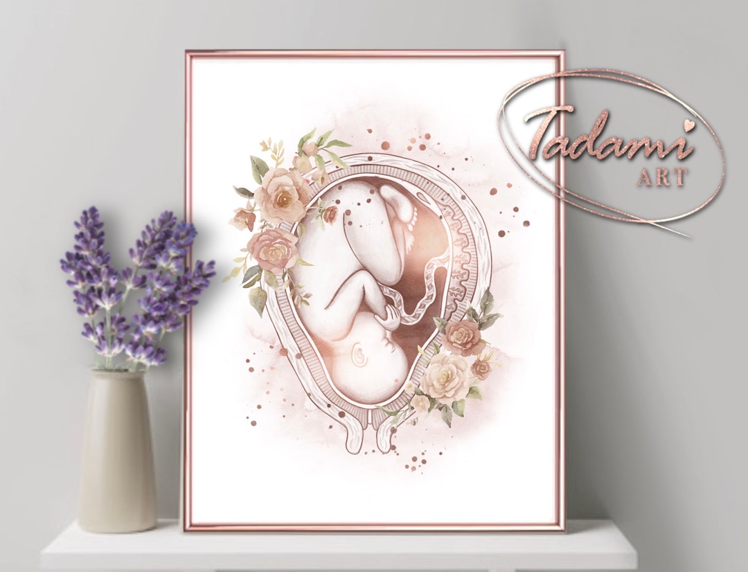 Fetus in Womb Art, Gynecologist Gift, Pregnancy Wall Art, Obstetrics ...