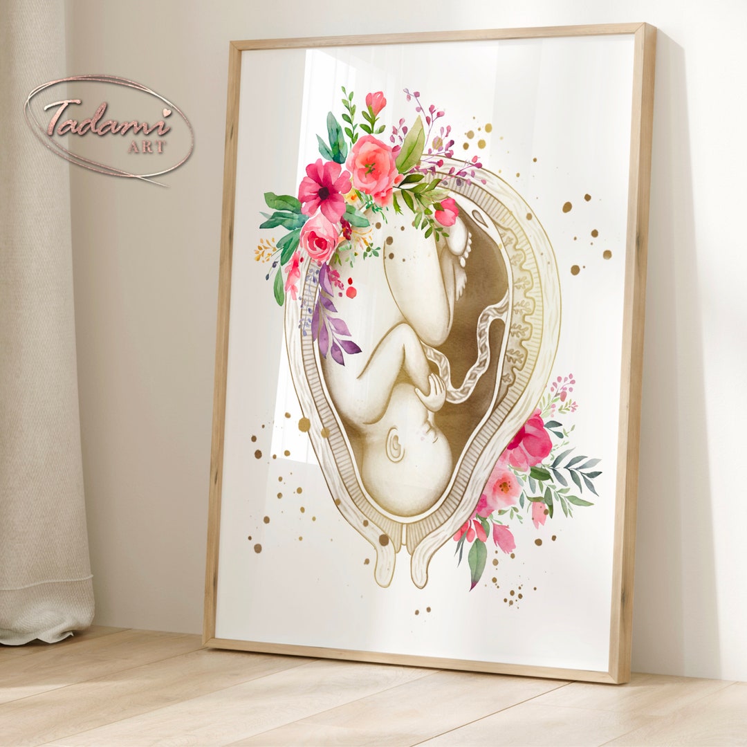 OBGYN Poster, Gynecology Art, Midwife Gift, Pregnant Anatomy Art, Baby ...
