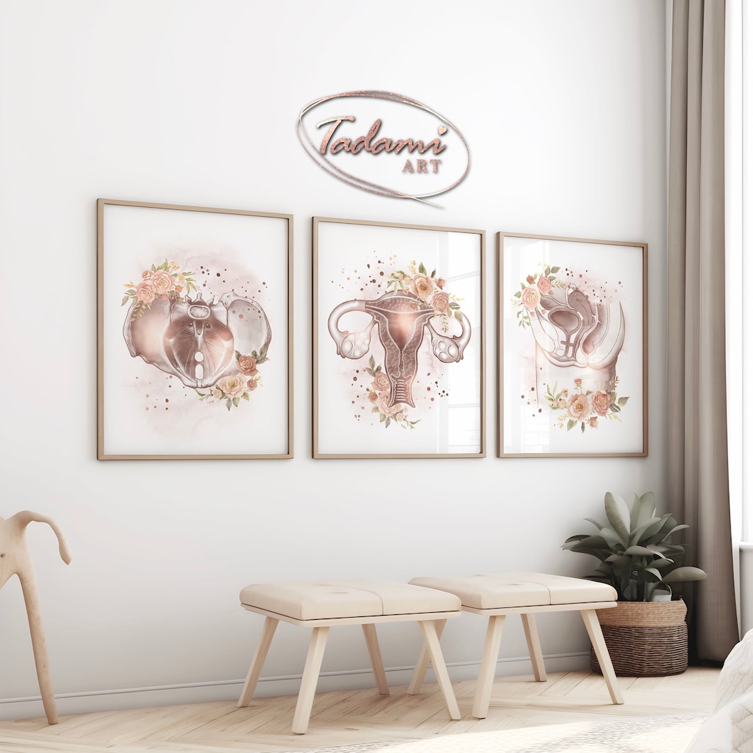 OBGYN Poster, Gynecologist Gift, Gynecology Wall Art, Female Anatomy ...