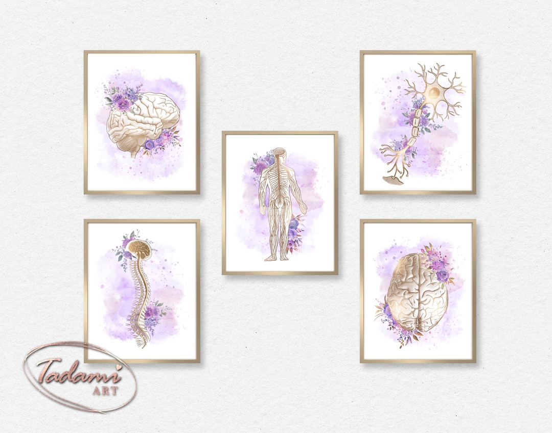 Neurological Art, Brain Anatomy Print, Neurologist Room Decor ...