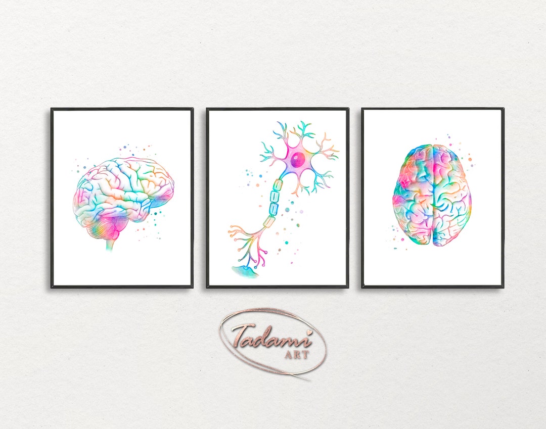 Brain Anatomy Poster, Neurological Wall Art, Neurologist Gift, Neuron ...