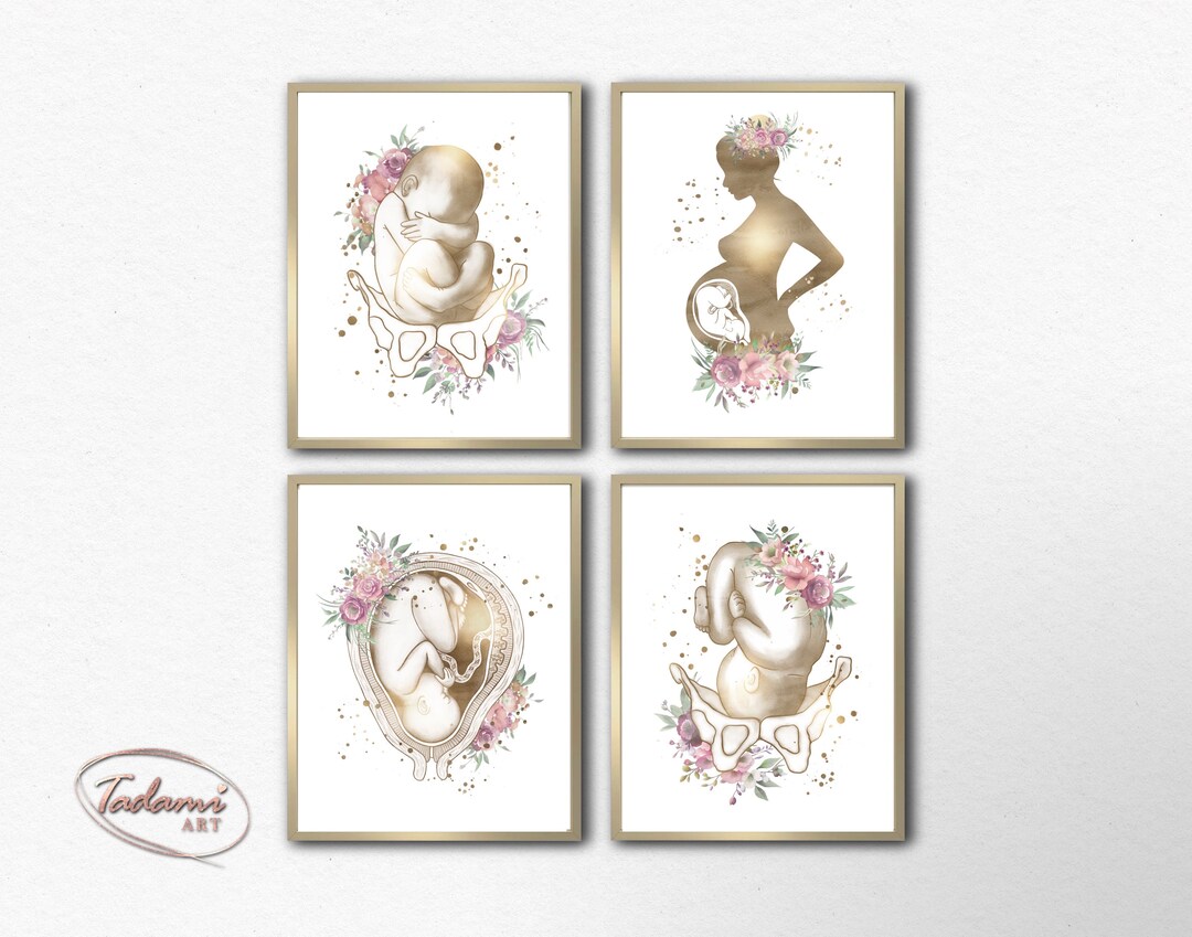 Fetal Position Poster, Pregnancy Anatomy Art, Gynecology Wall Art ...