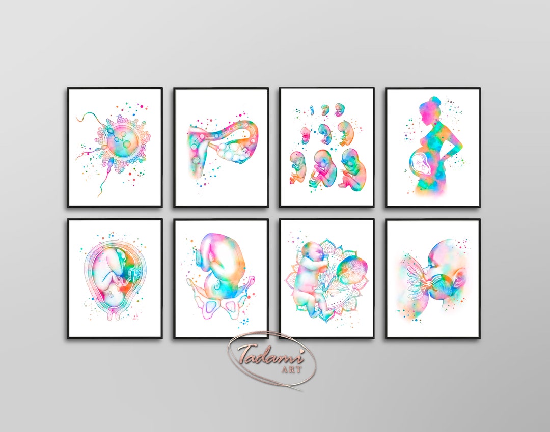 Obstetrics Wall Art, Pregnancy Poster, OBGYN Poster, Gynecology Print ...