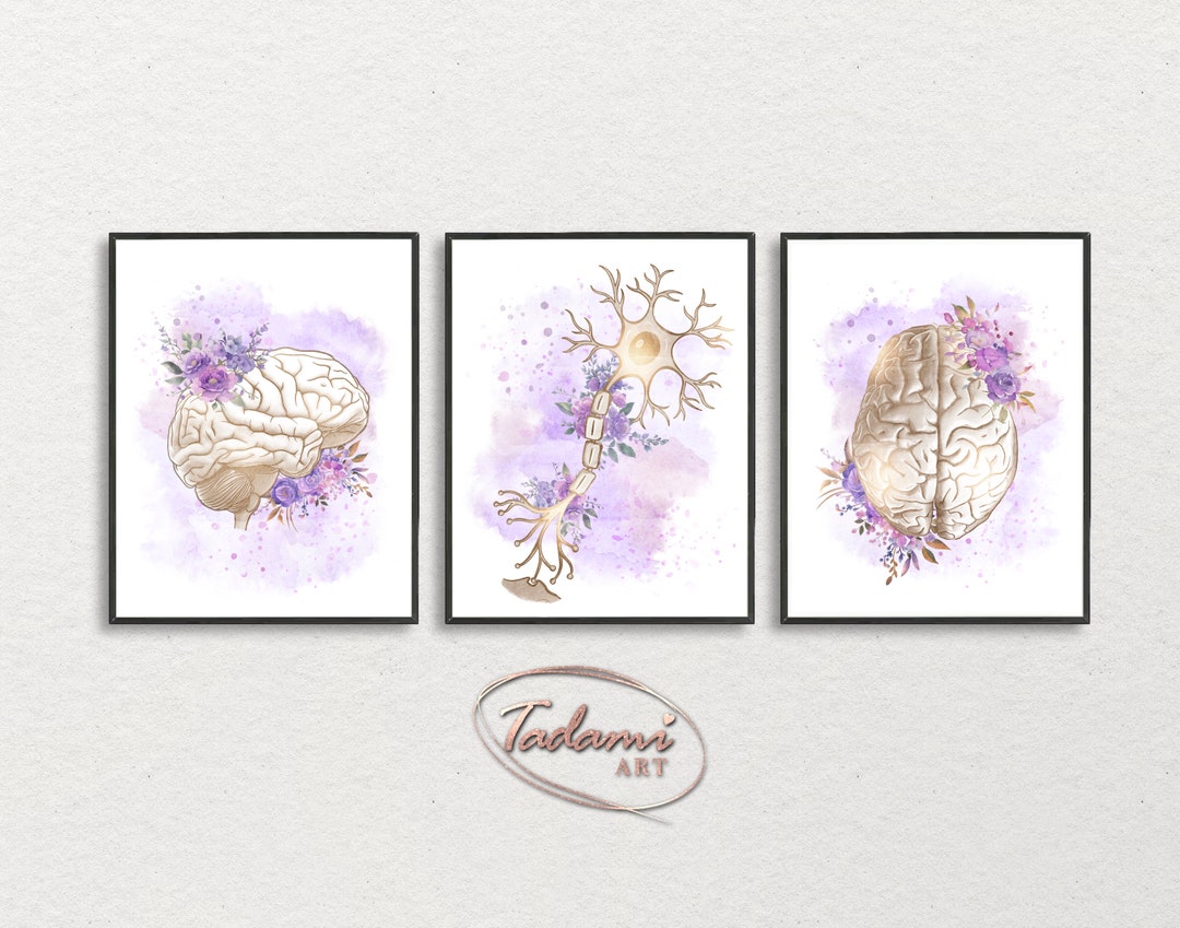 Brain Anatomy Art, Neurological Decor, Neurologist Gift, Neuron Wall ...