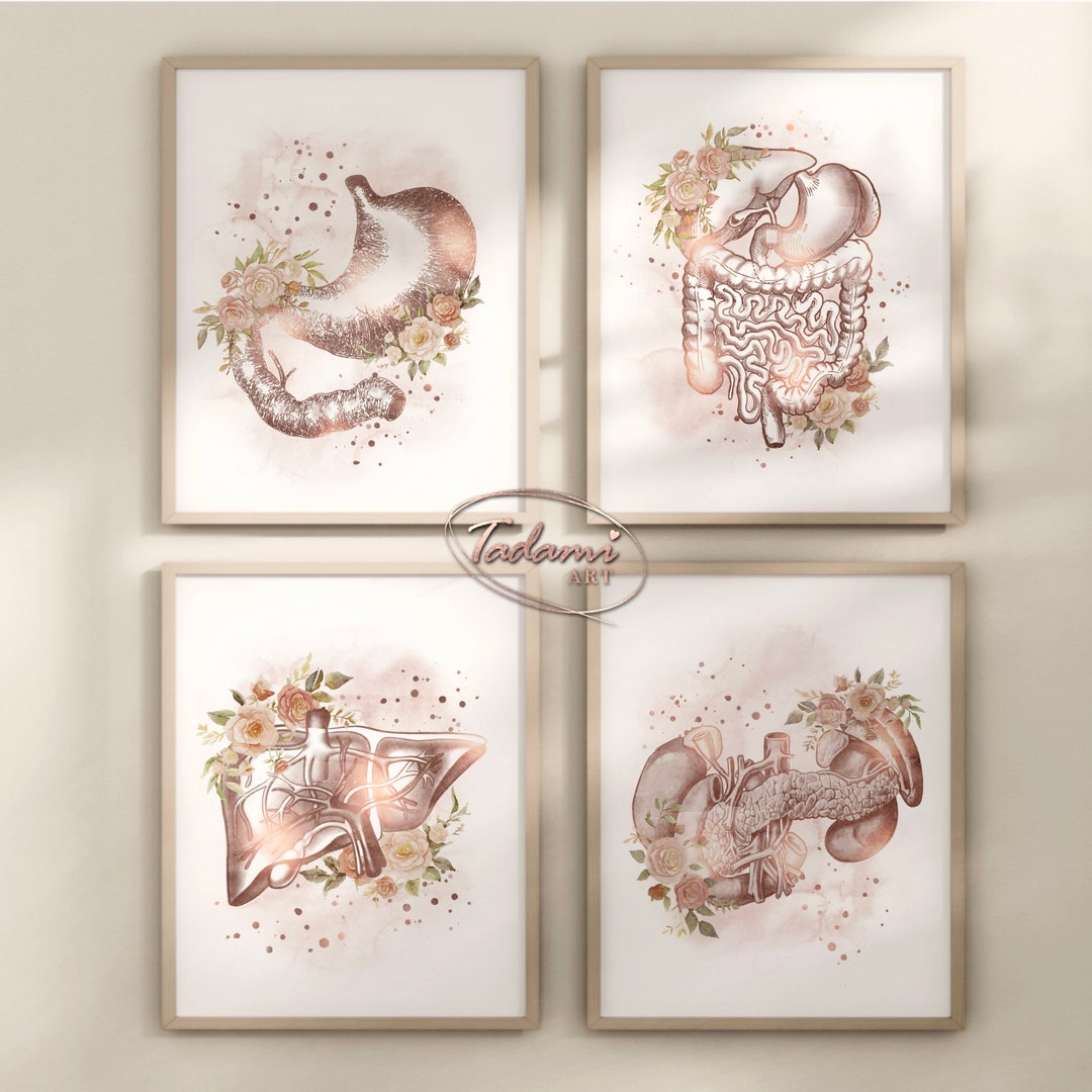 Gastroenterology Art, Digestive System Anatomy, Gastroenterologist Gift ...