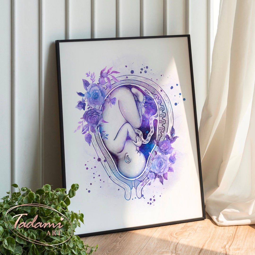 Obgyn Wall Art Fetus In Womb Poster Gynecology Poster Doula T