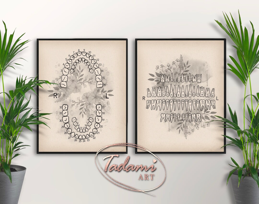 Dentist Office Art, Dental Wall Art, Tooth Numbering System, Dental ...