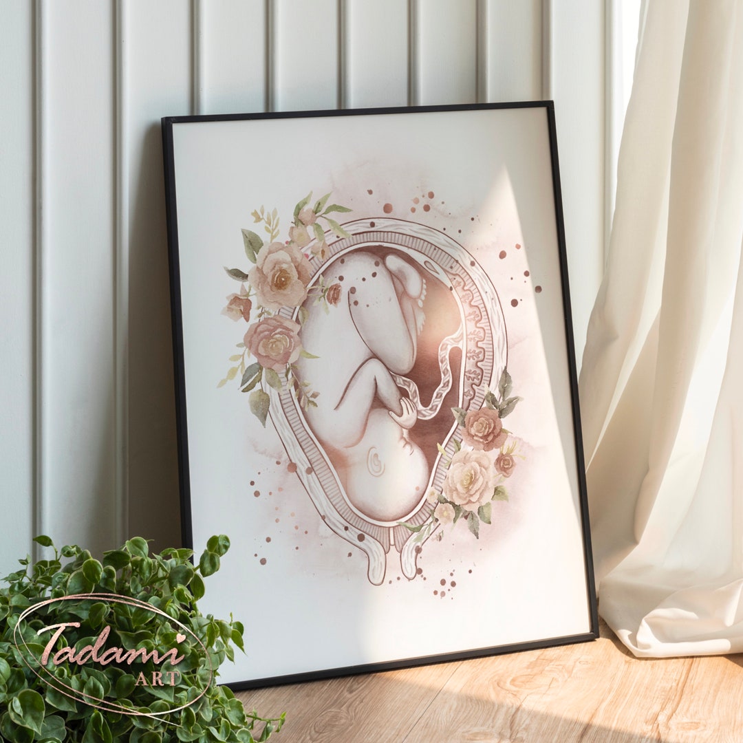 Baby in Womb Art, OBGYN Wall Art, Pregnancy Poster, Gynecology Print ...