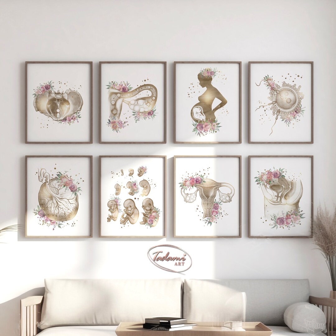 Obgyn Art Female Anatomy Art Gynecology Wall Art Pregnancy Print