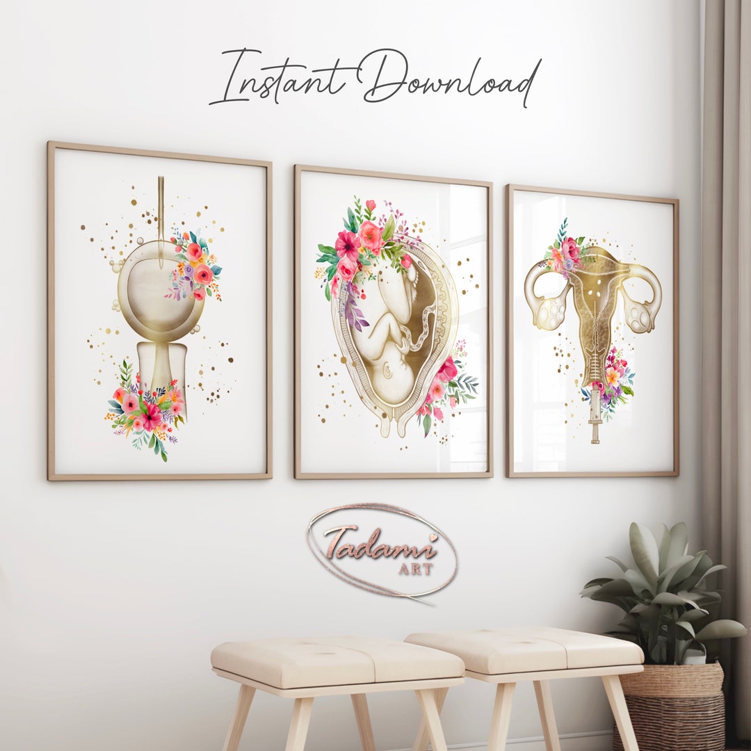 Gynecology Art, Fertilization Poster, IVF Procedure Art, Midwife Gift ...