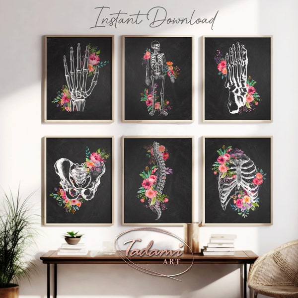 Orthopedic Poster - Etsy UK