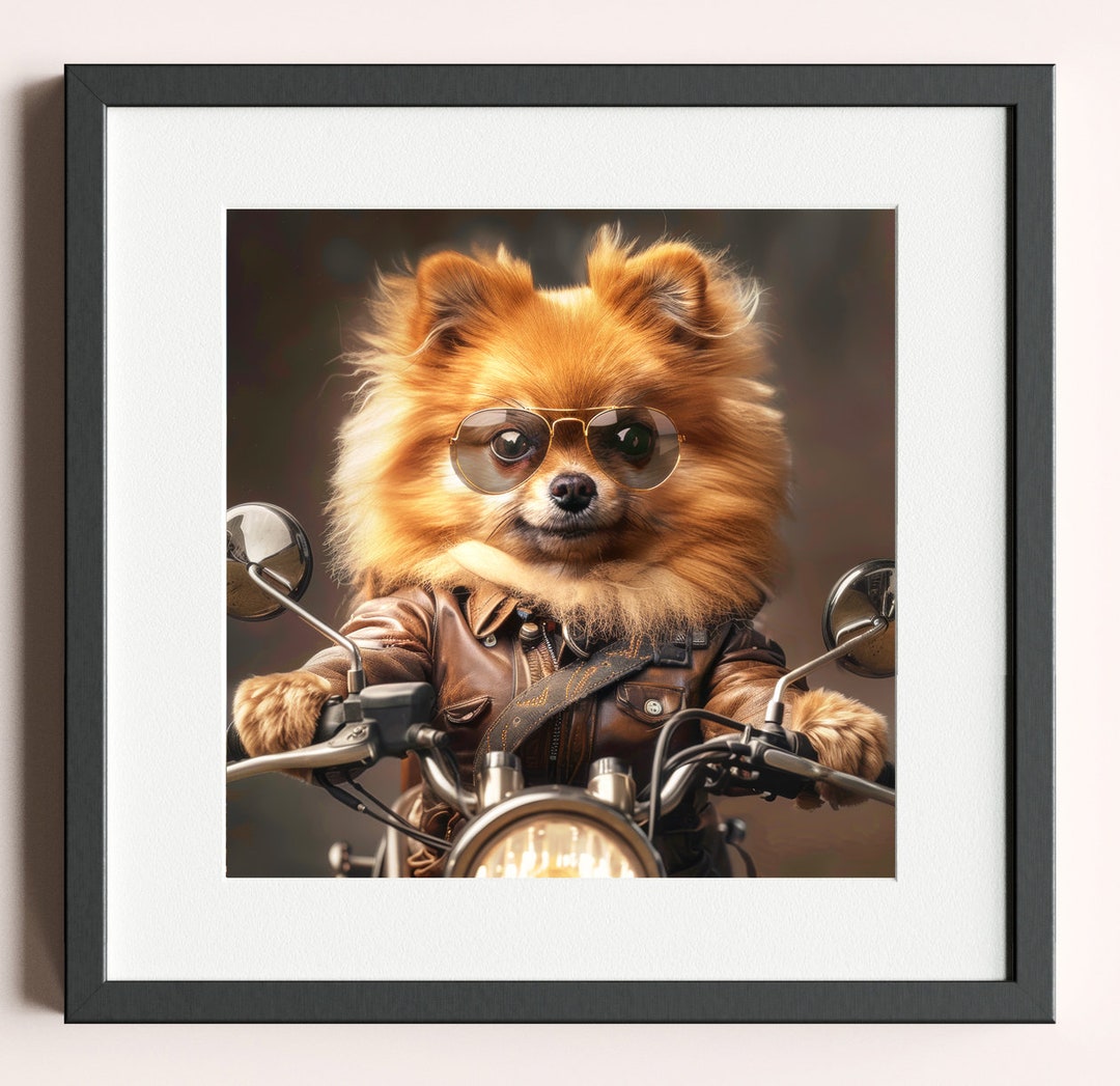 Picture - Pomeranian Riding A Motorcycle - Etsy