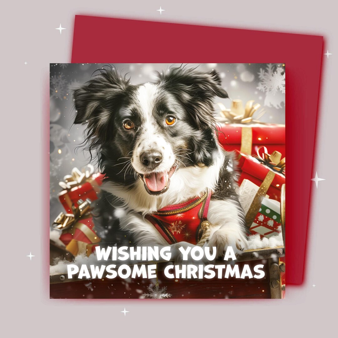 Christmas Card / Wishing You A Pawsome Christmas / Border Collie on a ...