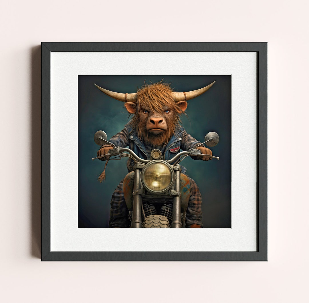 Picture Highland Cow Riding Motorbike - Etsy