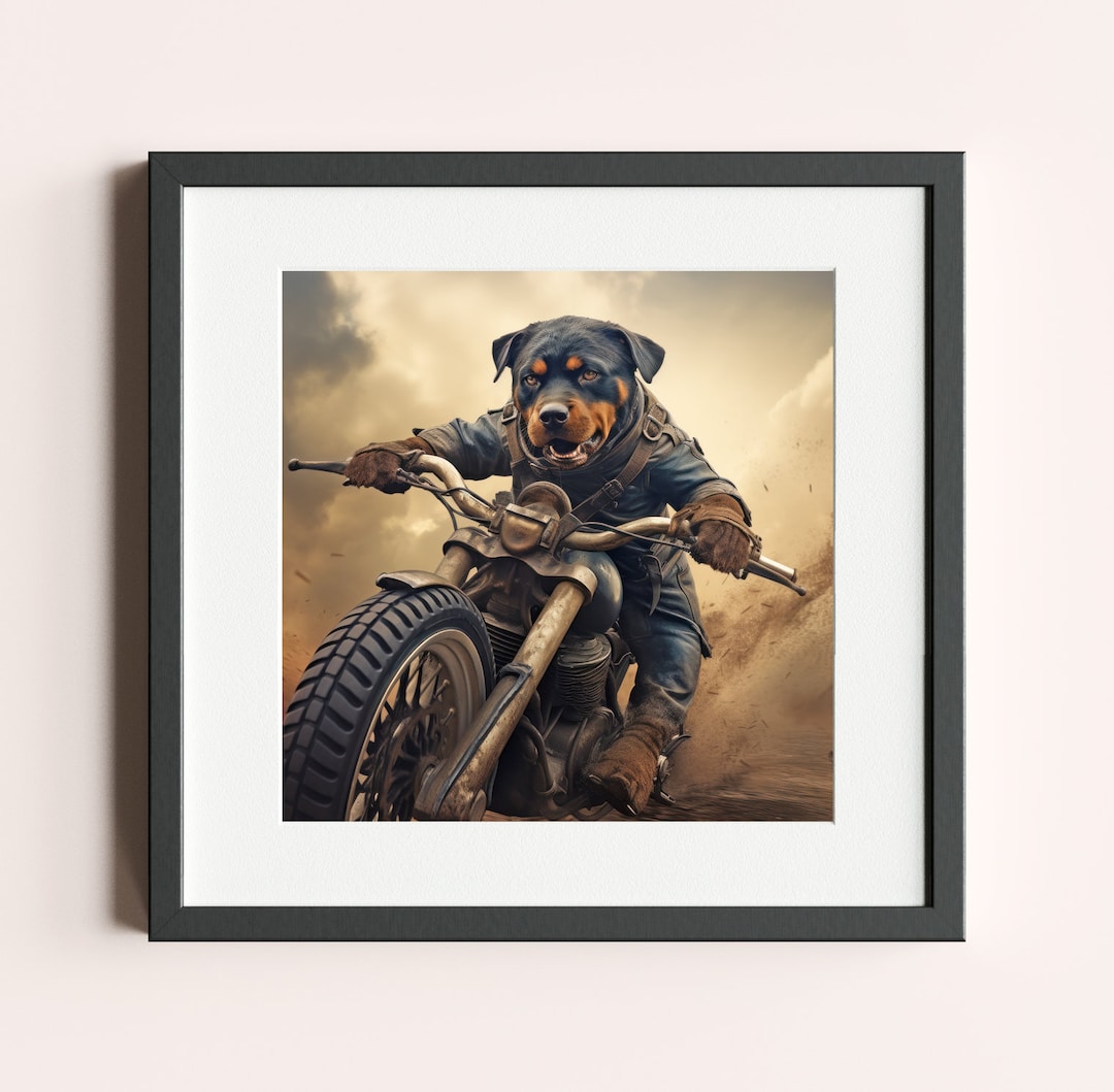 Picture Rottweiler Riding a Motorbike - Etsy