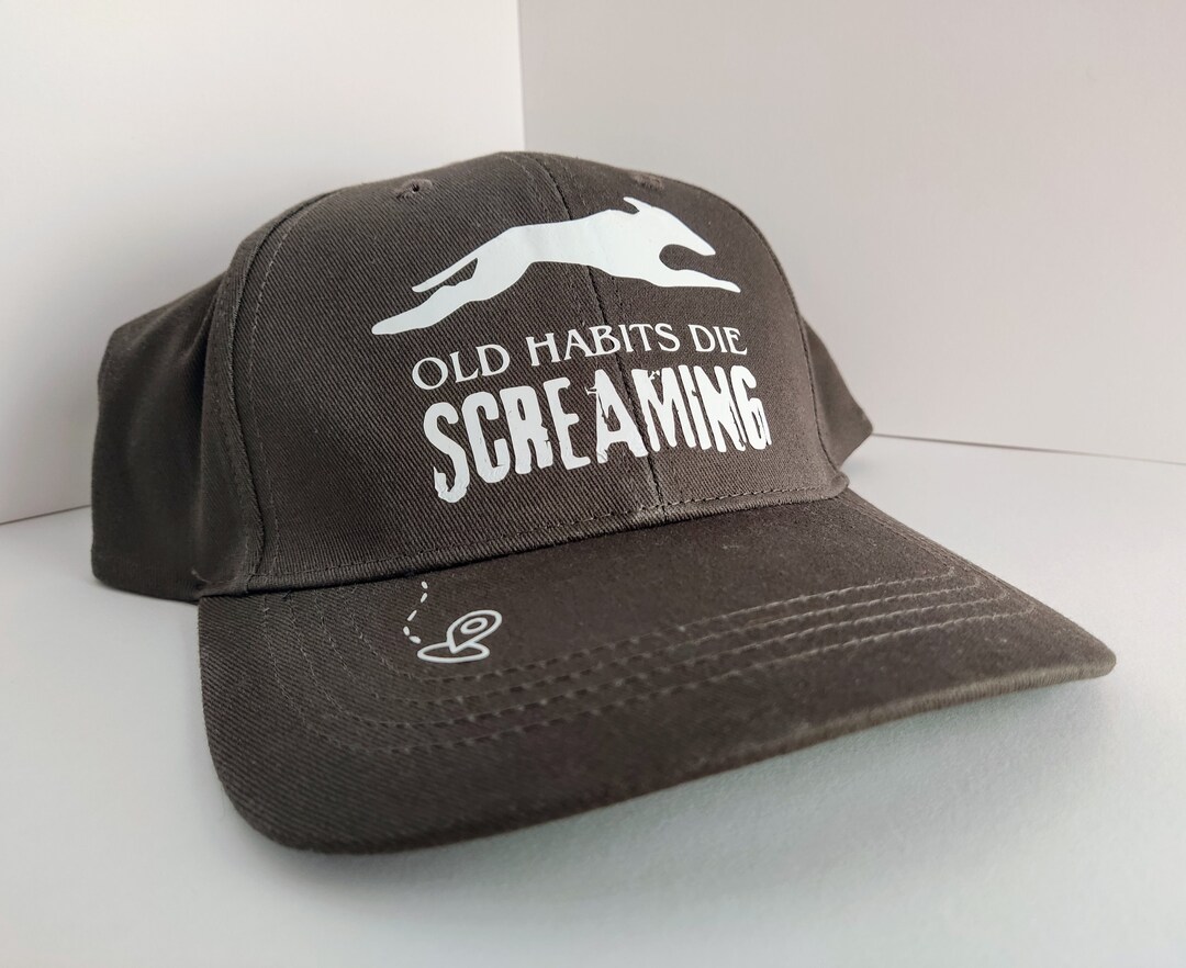 The Black Dog Taupe Baseball Cap One Size Swiftie Cap TTPD Hat Taylor ...