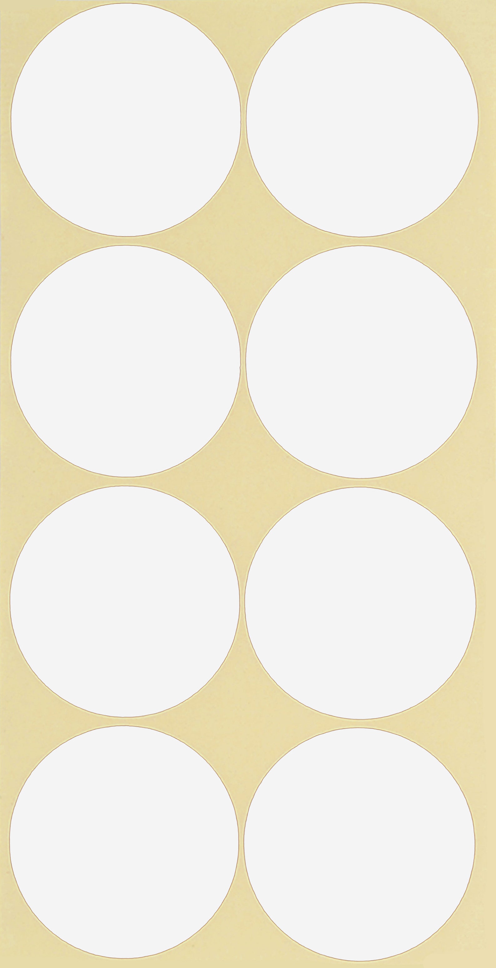 Adheso 50mm 2 Inch Colour Coding Dot Stickers. 8 Dots. 12 - Etsy
