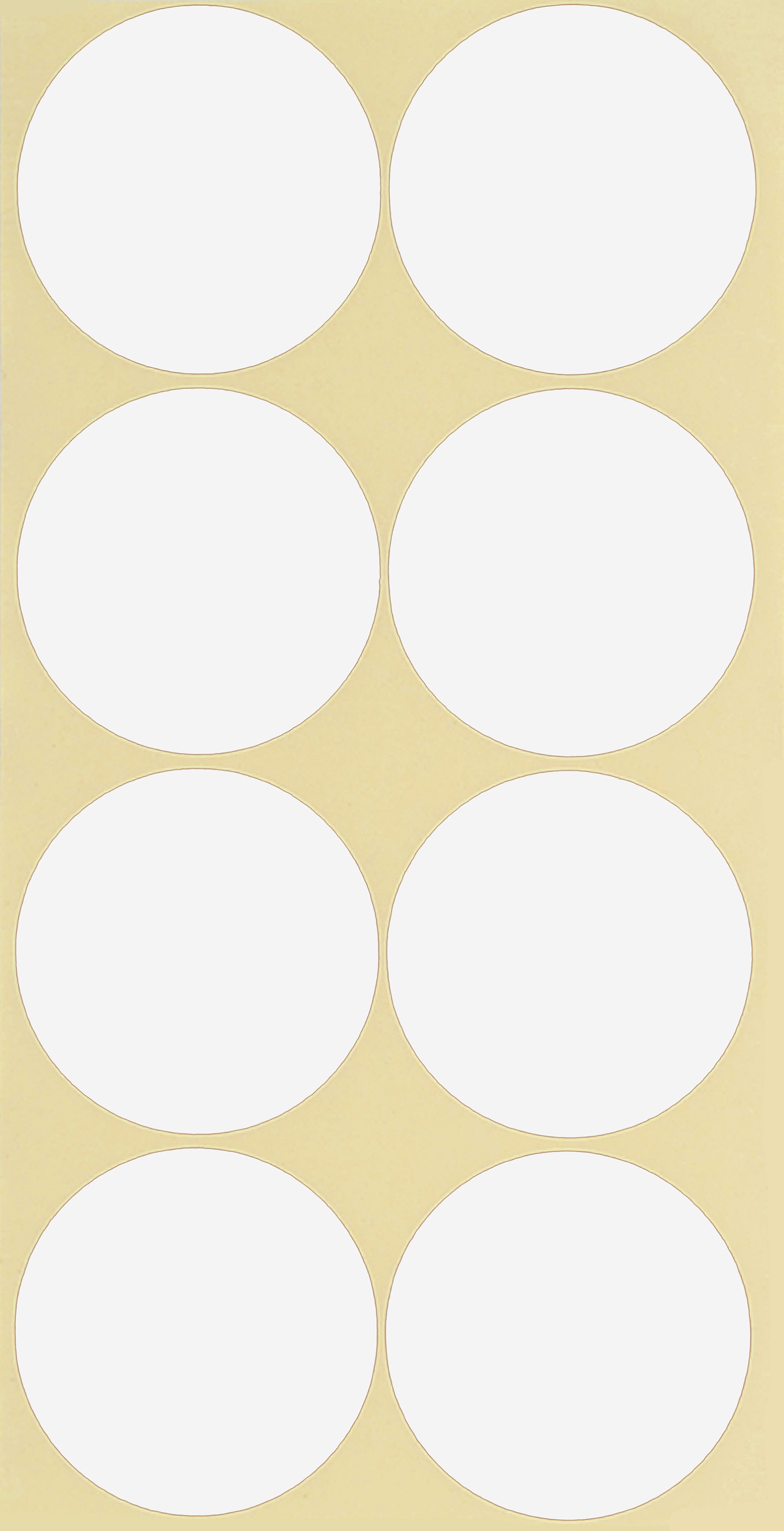 Adheso 50mm 2 Inch Colour Coding Dot Stickers. 8 Dots. 12 - Etsy