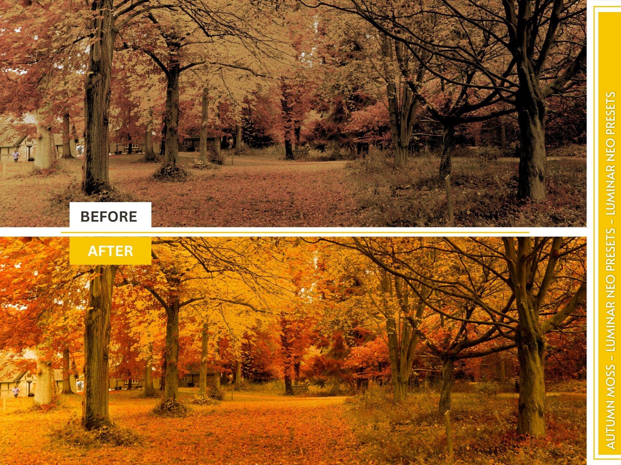10 Luminar NEO Autumn Moss Presets by Jakub Bors Adjustable Non ...
