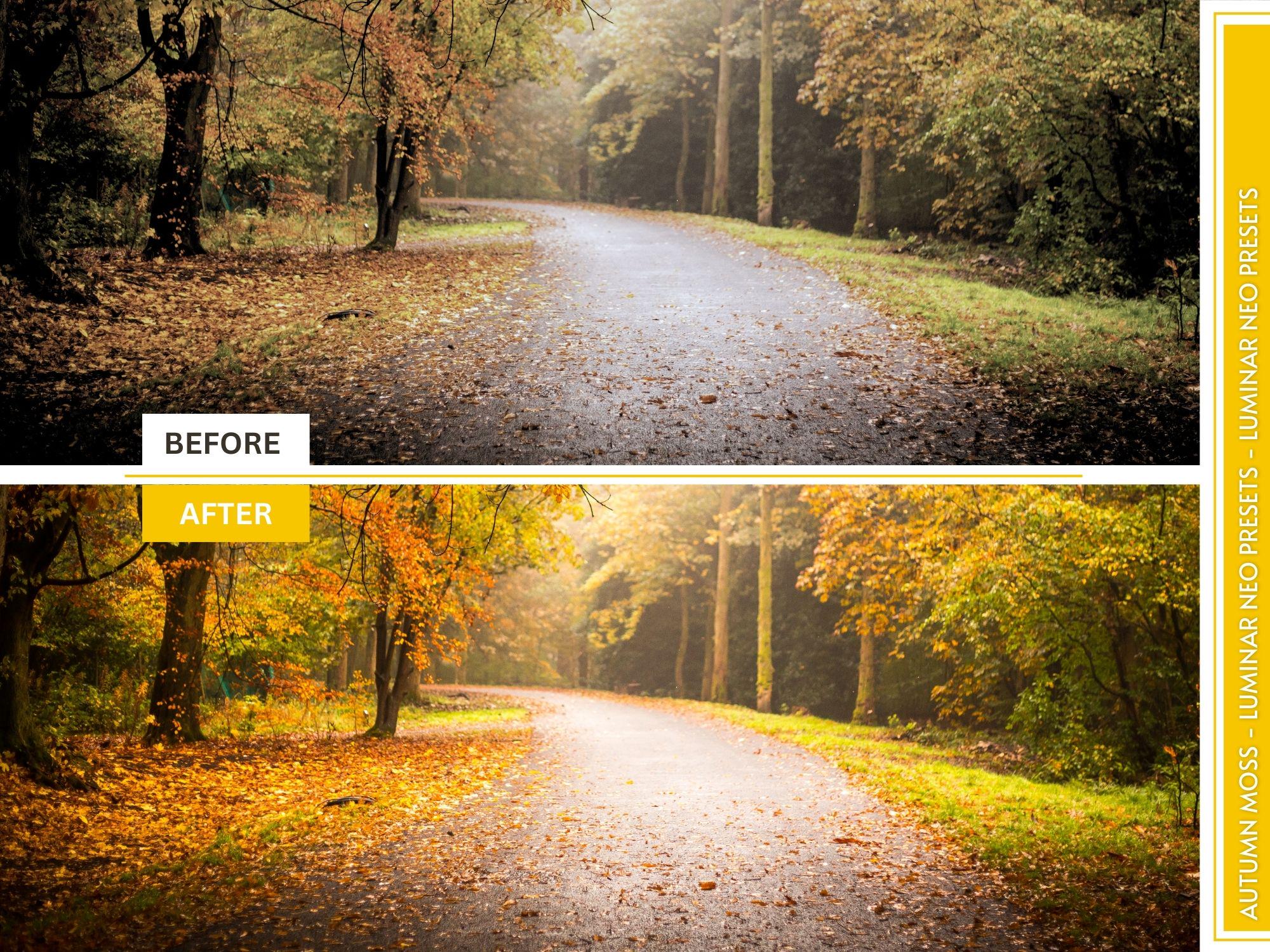 10 Luminar NEO Autumn Moss Presets by Jakub Bors Adjustable Non ...
