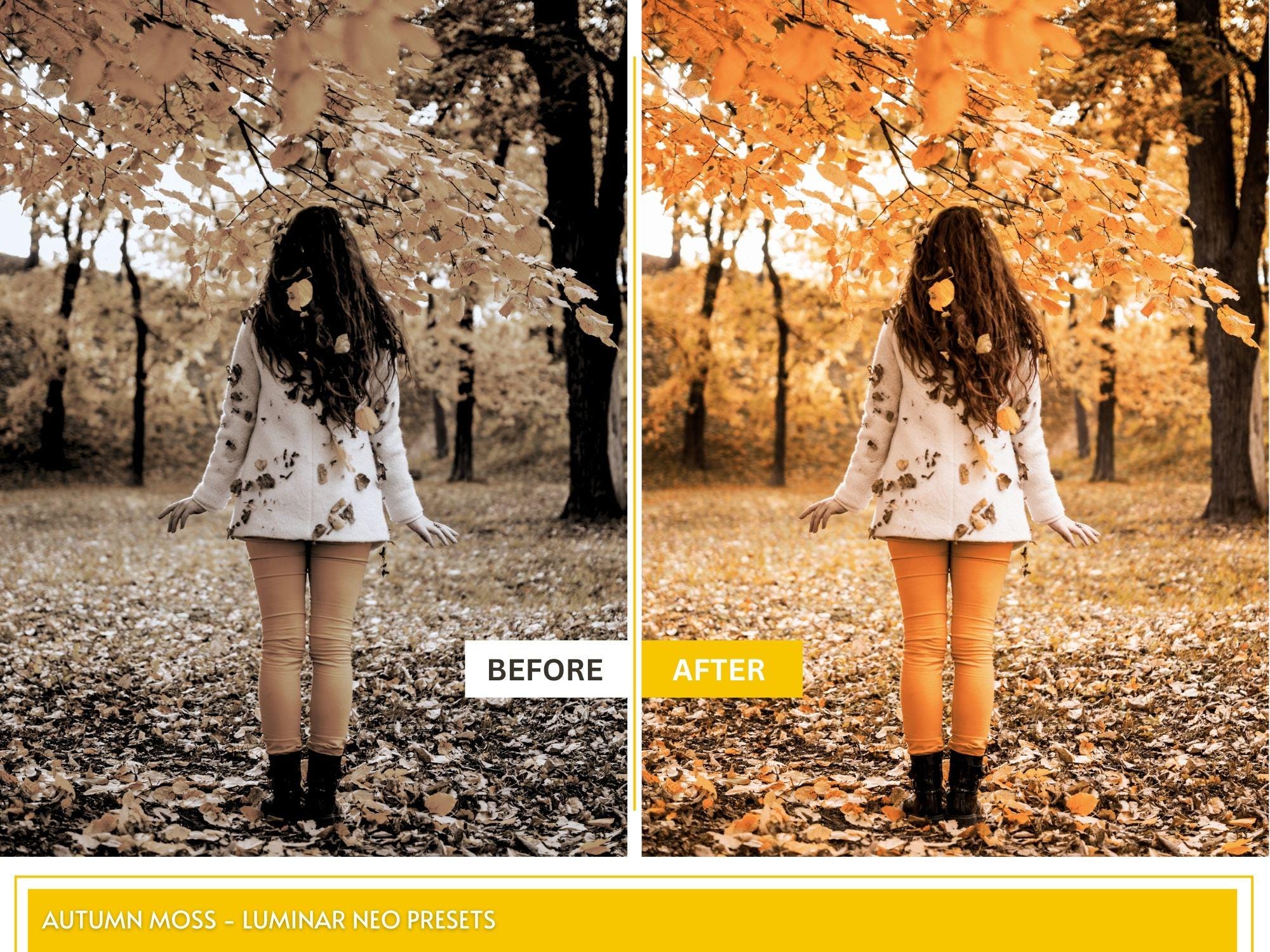10 Luminar NEO Autumn Moss Presets by Jakub Bors Adjustable Non ...