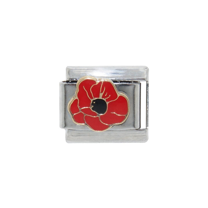 Poppy Pandora Charms - Etsy UK