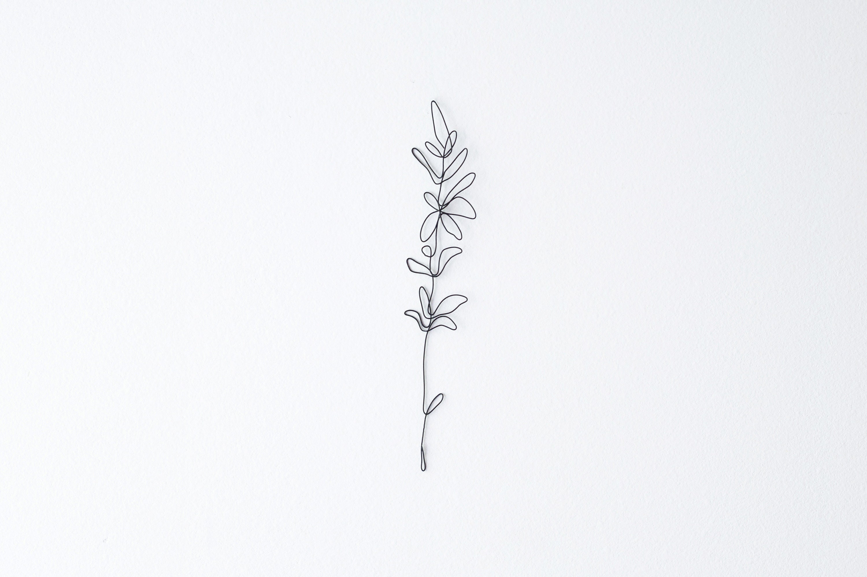 Linear Floral Sprig Black Wire Sculpture. Metal Modern - Etsy