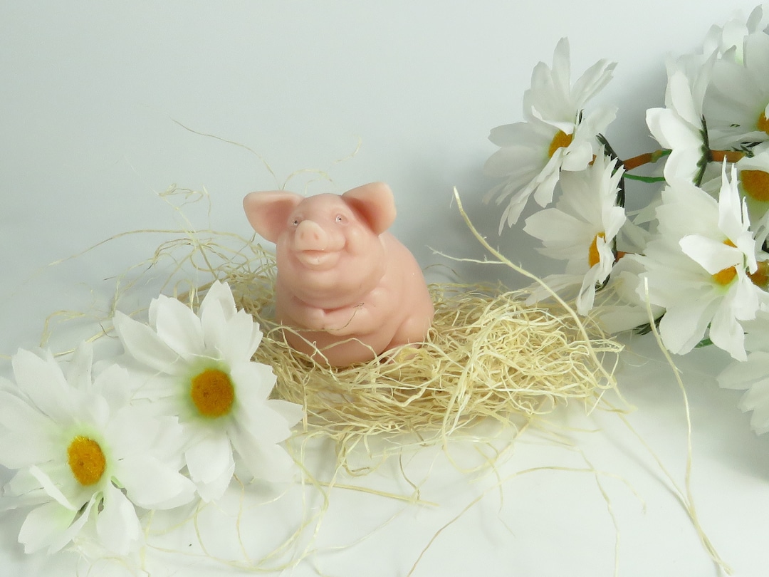 Piglet Gift Piggy Soap Cute Little Pig Soap Choice of Wonderful Flavors ...