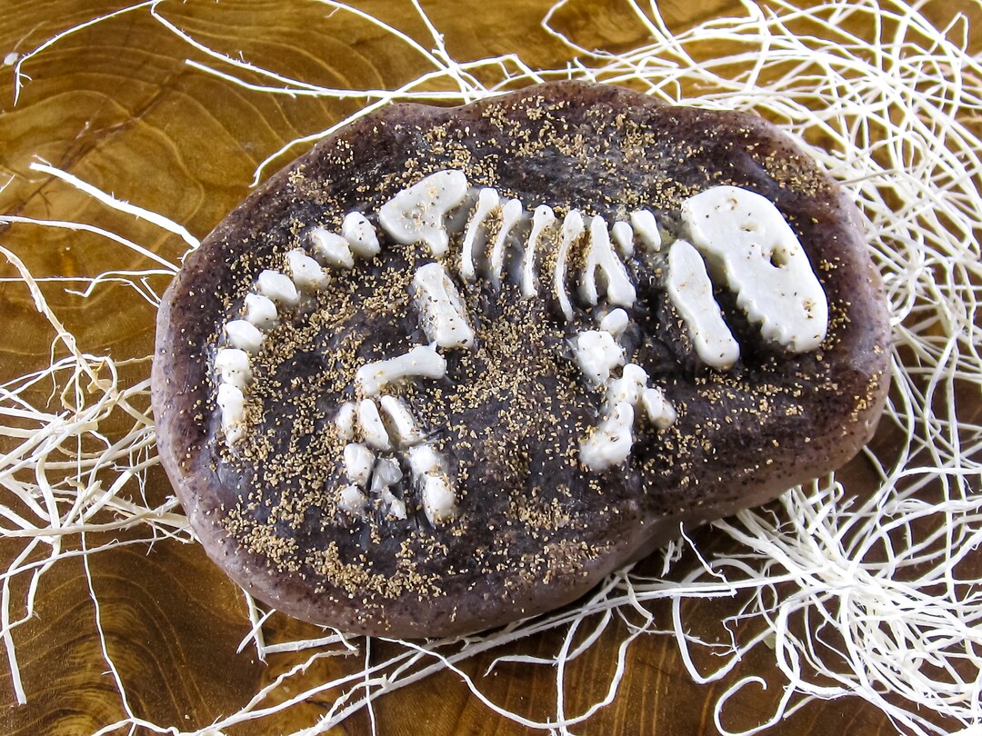 Father's Day Gift Archaeological Birthday Prank Gift Dinosaur Finds T ...