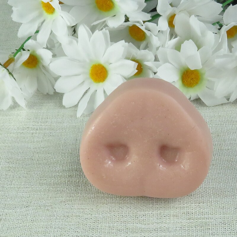 Prosthetic Pig Nose - Etsy