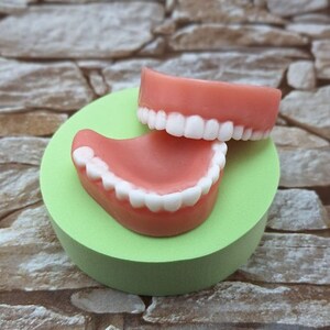 Denture Tooth Soap Father's Day Gift Prank Gift Funny Joke Birthday ...