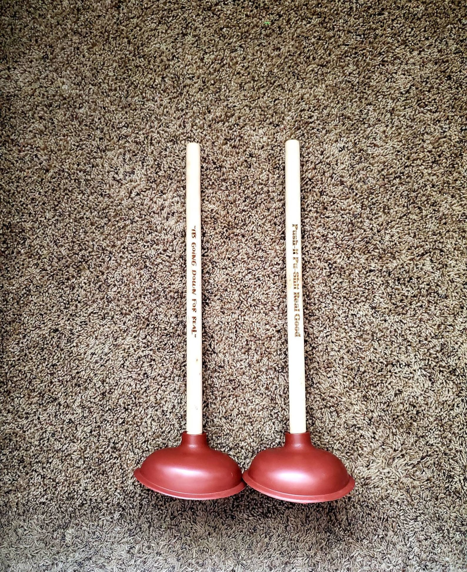 Custom Plunger / Bathroom Fun / Gag Gift / Wedding / Boss Gift / White ...