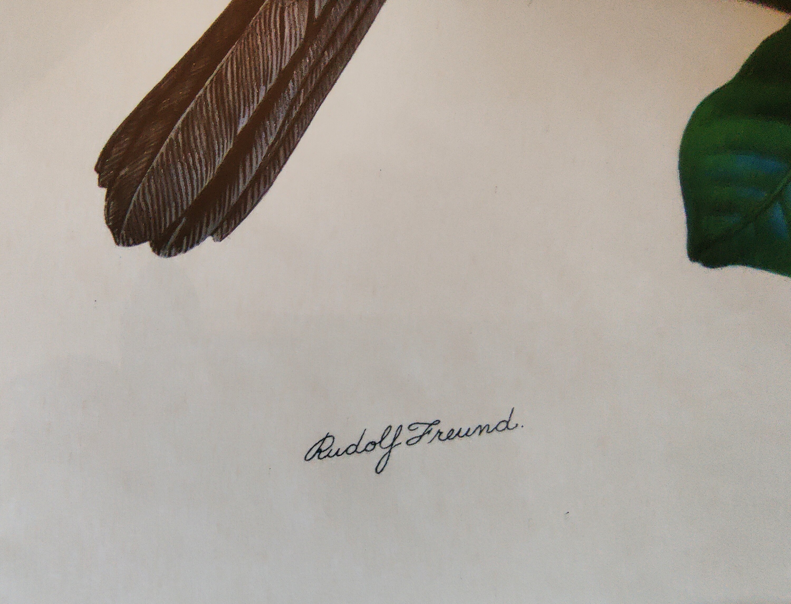 Rudolf Freund Lithographie Turner Wand Zubehör Mid Century Art | Etsy